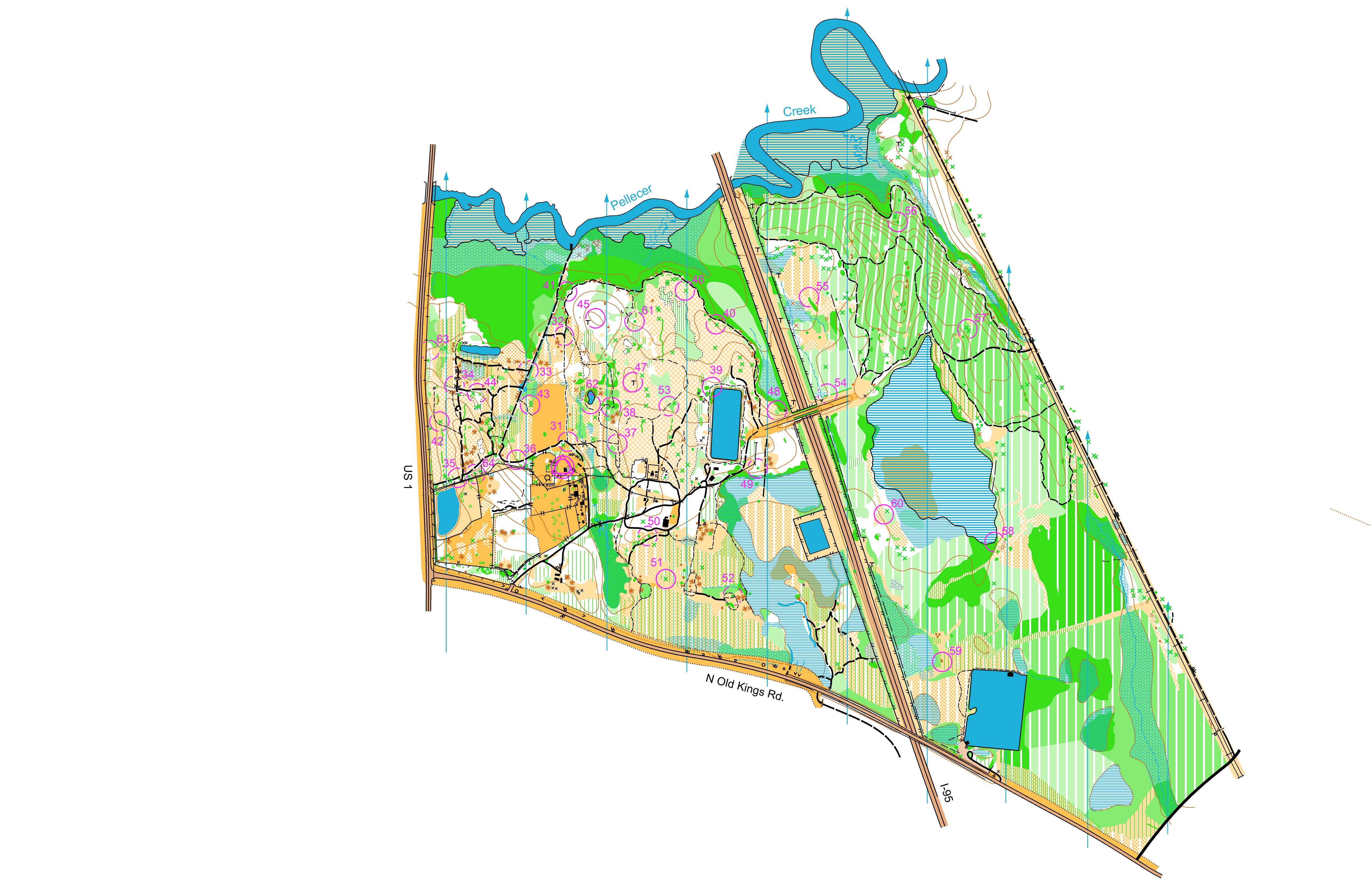 Florida Orienteering Results